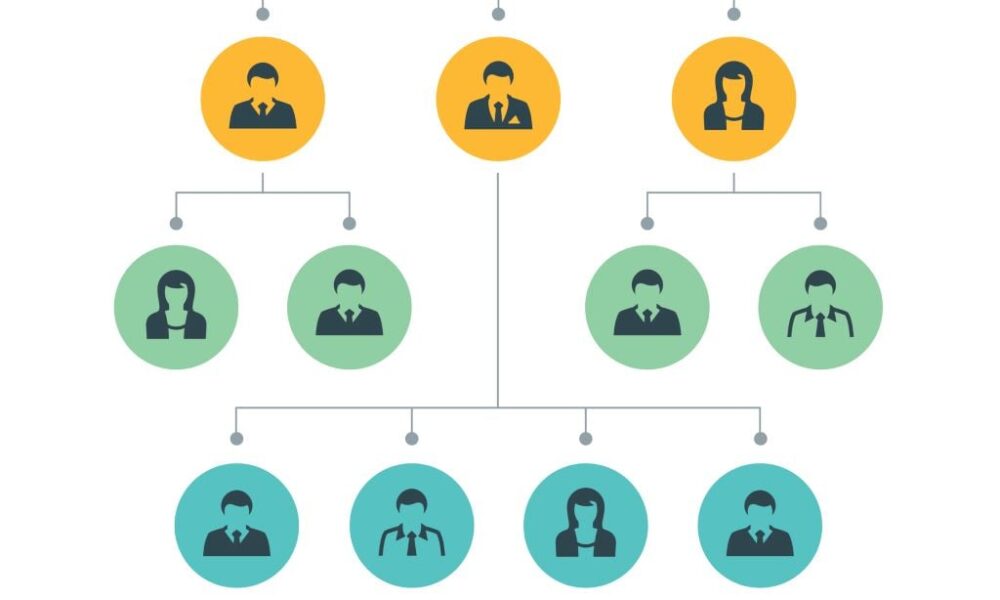 Los 5 mejores programas para hacer organigramas de forma sencilla y ...