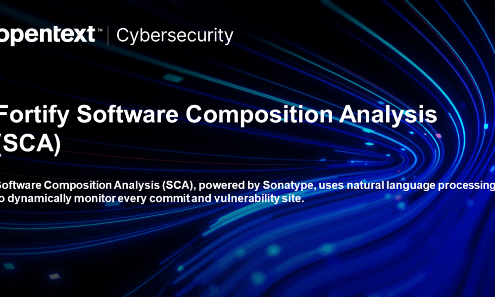 Fortify Software: Protege tu negocio de vulnerabilidades informáticas ...