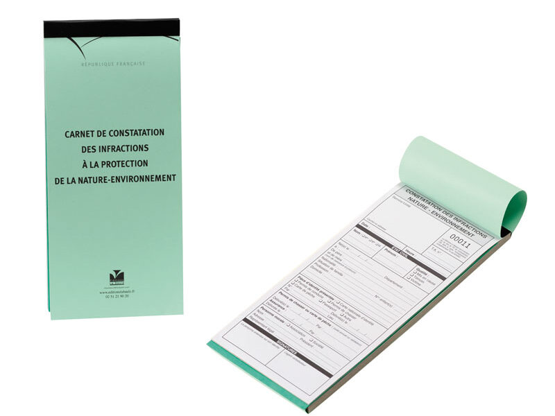 Plantillas para fotos de carnet: Cómo crear imágenes perfectas en casa ...